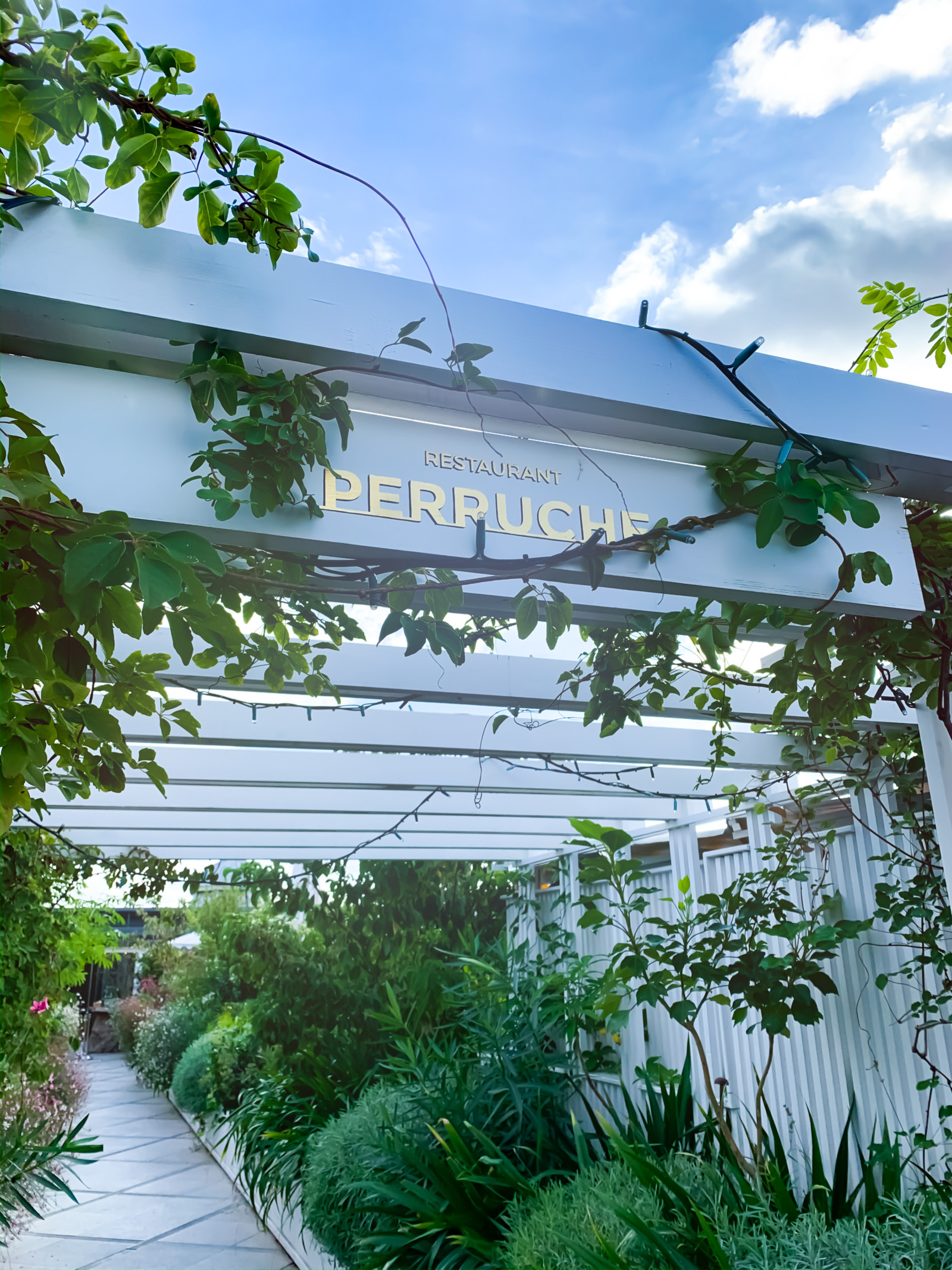 On a testé le restaurant La Perruche à Paris | Vivi-B